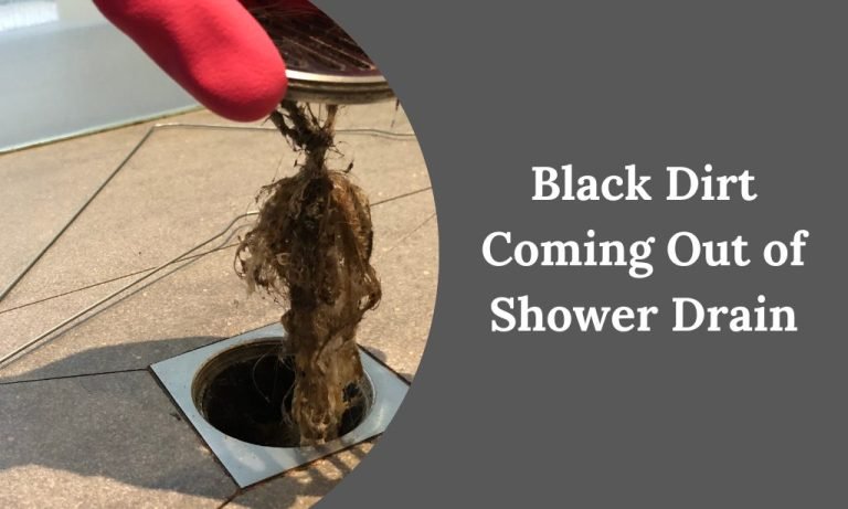 Black Dirt Coming Out of Shower Drain [Causes and Solutions]