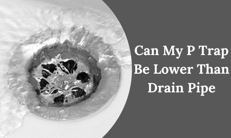 Low Profile P Trap for Shower Drain [Sleek and Practical]