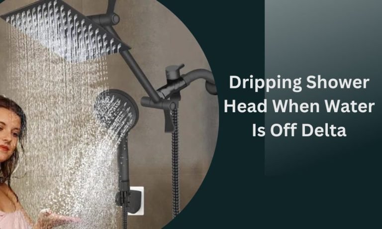 Dripping Shower Head When Water is off Delta [Causes & Fixes]