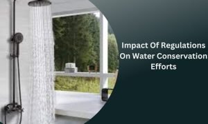 California Shower Head Restrictions (Full Guide 2023)