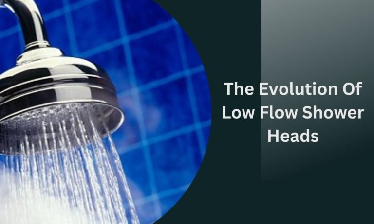 Low Flow Shower Head Seinfeld [Guide 2024]