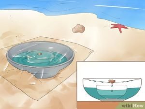 How to Filter Salt Water: Ultimate Guide for Pure Drinking Water