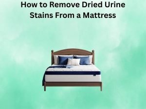 How to Remove Dried Urine Stains From a Mattress