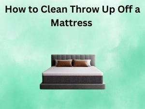 How to Clean Throw Up Off a Mattress the Easy Way