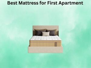 What Is The Best Mattress for First Apartment [In 2026]