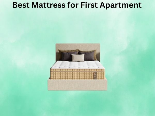 What Is The Best Mattress for First Apartment [In 2026]