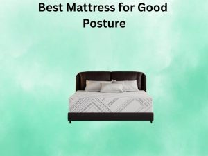 What Is The Best Mattress for Good Posture [In 2026]